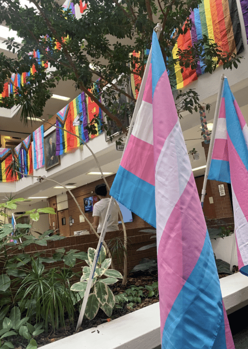 ‘PRIDE EVERYWHERE’: University of Utah Faculty Dress in LGBTQ+ Colors ...
