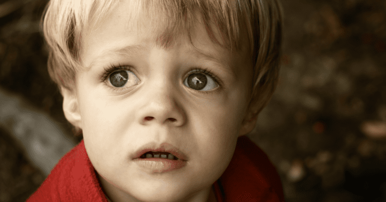 Here Are 11 Conservative Books You Should Read While Self-Quarantining ...