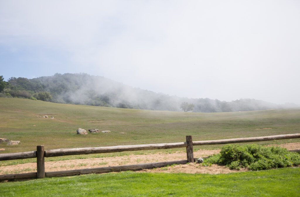 ReaganRanch - Young America's Foundation