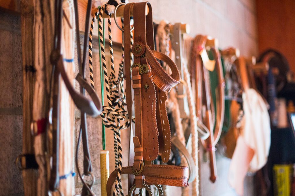 ReaganRanch - Young America's Foundation