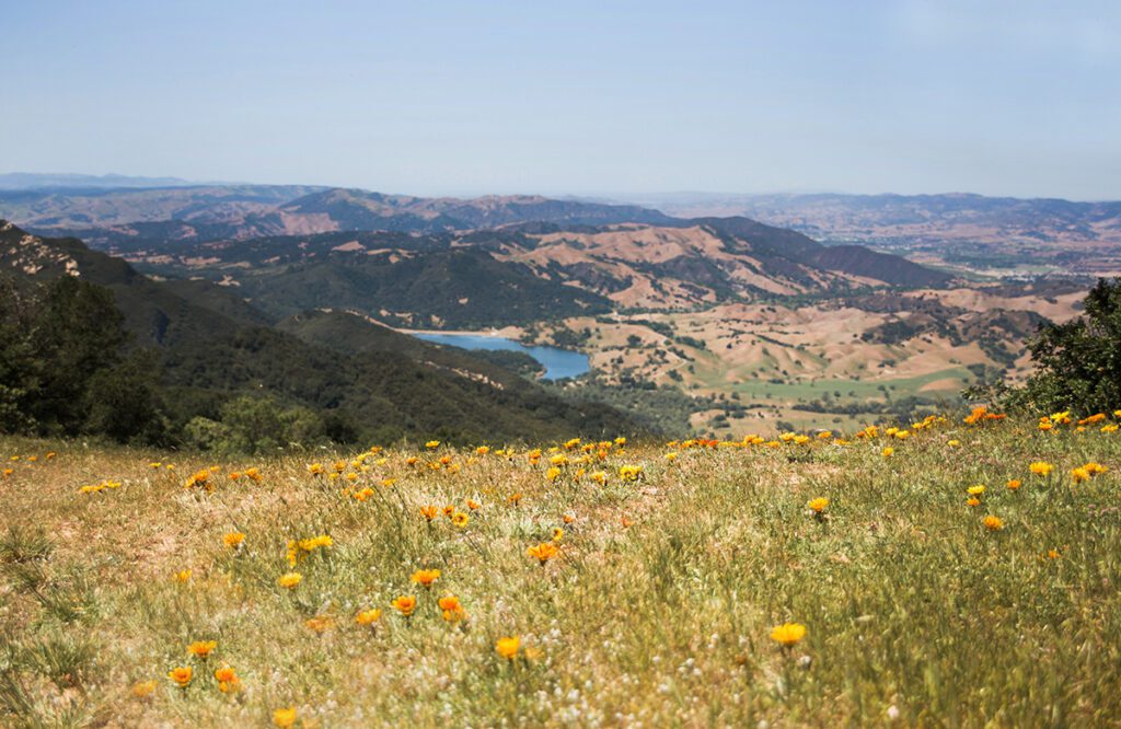 ReaganRanch - Young America's Foundation