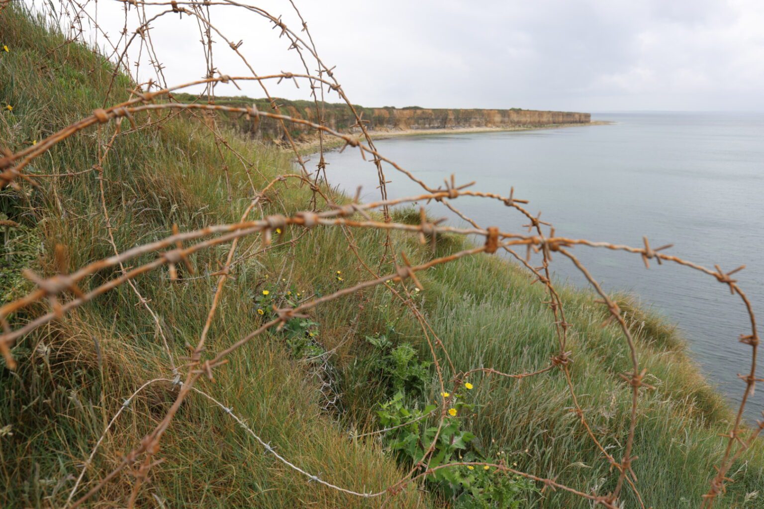 News & Issues - Young America's Foundation